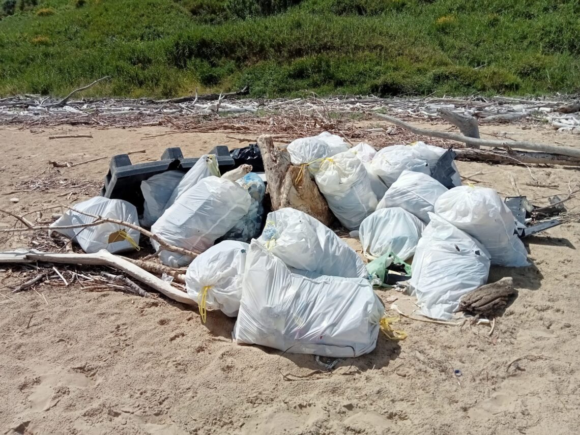 «Spiaggia di Punta Penna, rifiuti raccolti ma non rimossi. Peccato ...